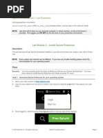 Accessing Pelkon III | PDF | Internet Explorer | Web Browser