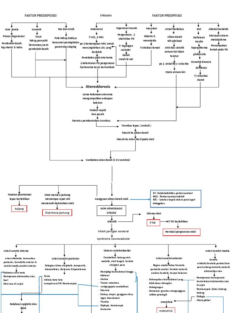 Pathway Non Hemoragic Stroke | PDF