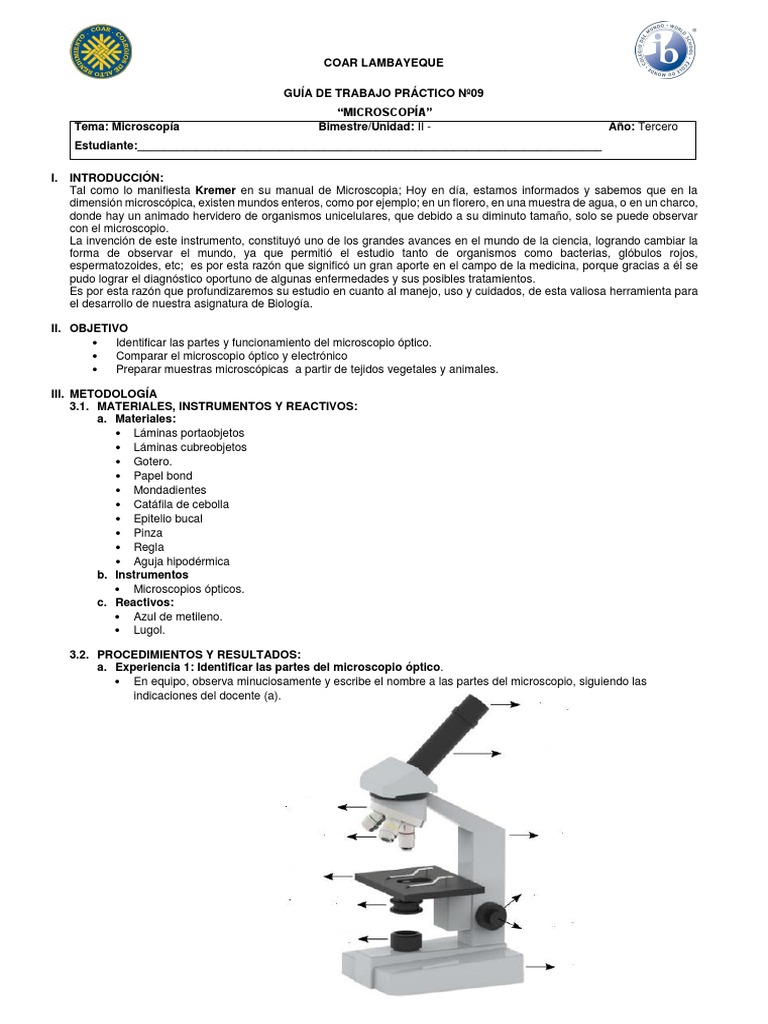 Partes y Uso del Microscopio Óptico | PDF | Microscopio | Óptica