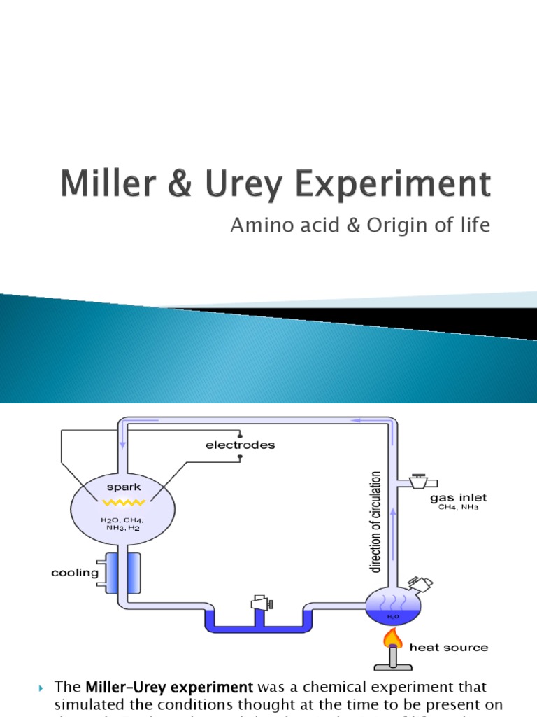 Miller & Urey Experiment | PDF