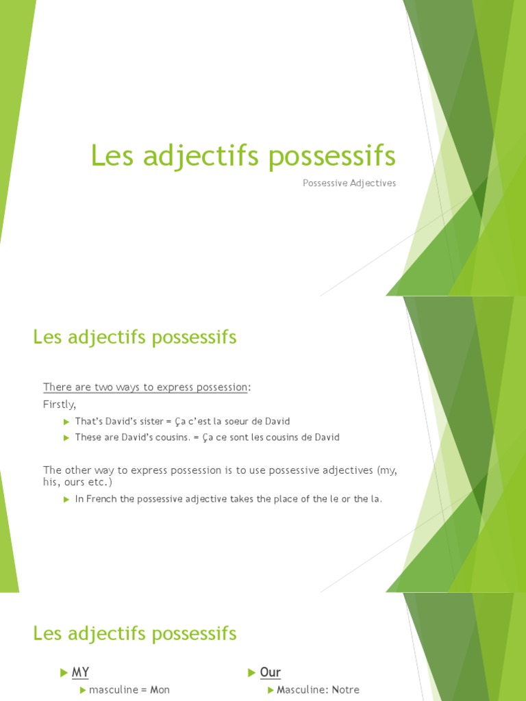Les Adjectifs Possessifs: Possessive Adjectives | PDF | Grammatical ...