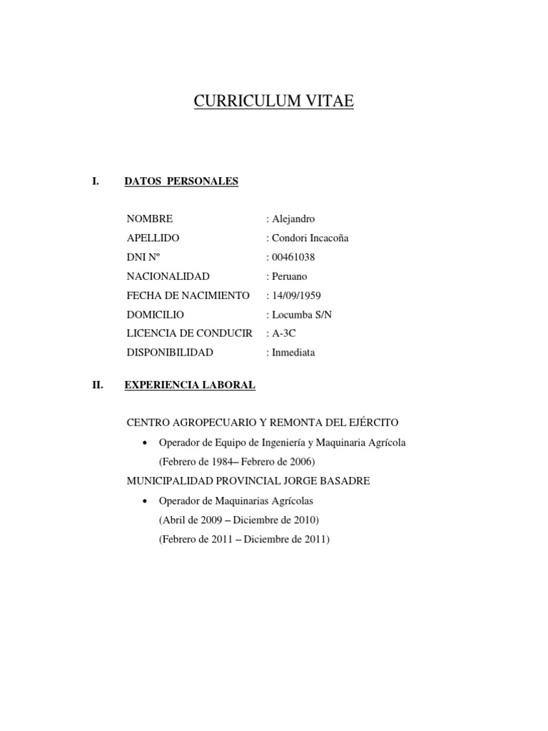 CURRICULUM VITAE Alejandro | PDF