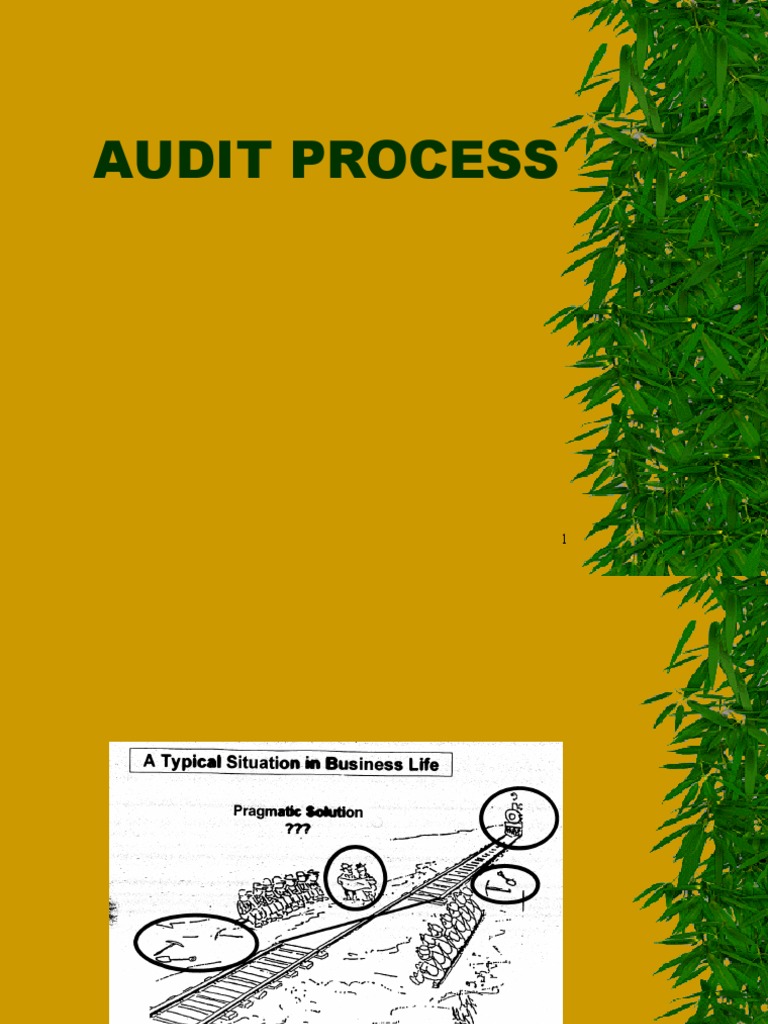 Audit Process | PDF | Iso 9000 | Financial Audit