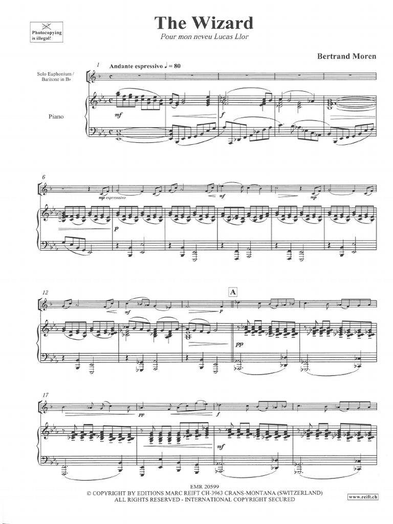 The Wizard PDF | PDF