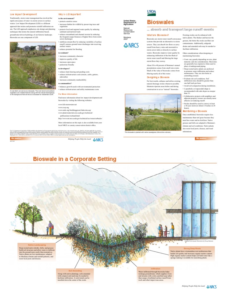 Bioswale PDF | PDF | Surface Runoff | Stormwater
