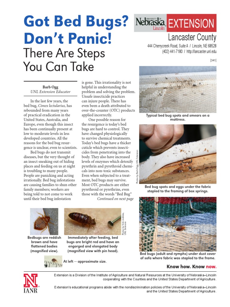 341 BB Steps | PDF | Bed | Nature