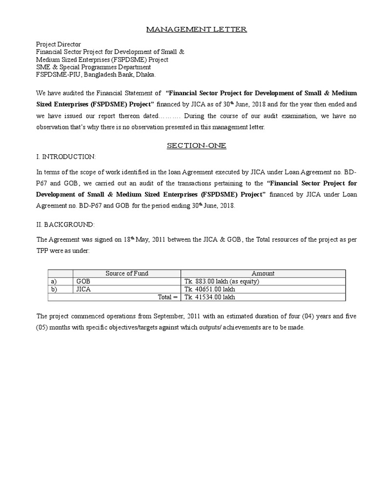 Mangement Letter | PDF | Audit | Service Industries