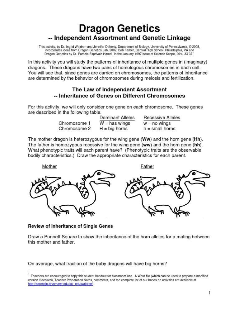 Dragon Genetics Protocol | PDF | Zygosity | Allele