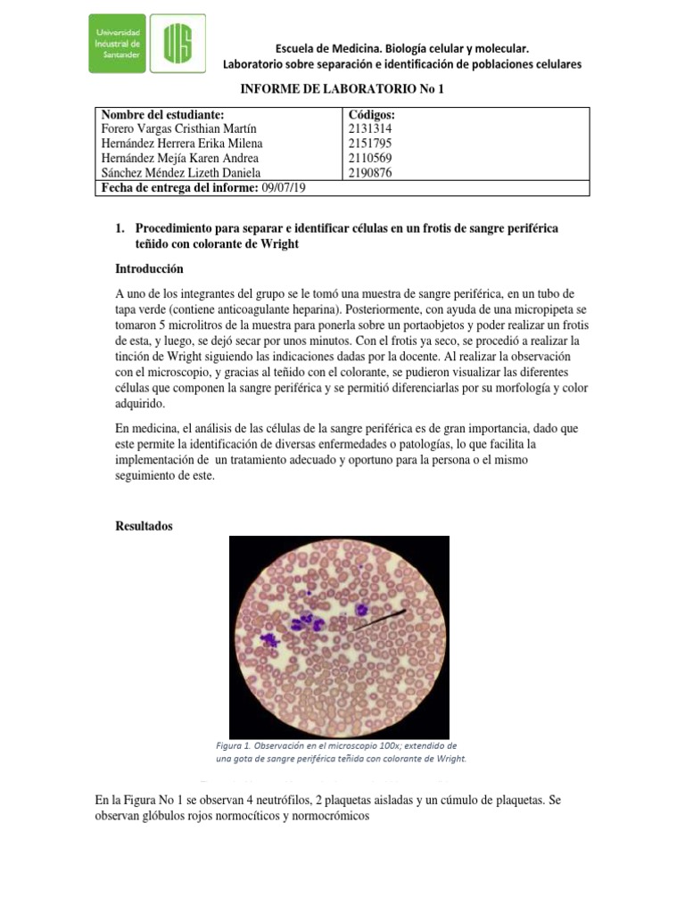 INFORME Lab Separacion e Identificacion de Poblaciones Celulares ULTIMO | Descargar gratis PDF ...