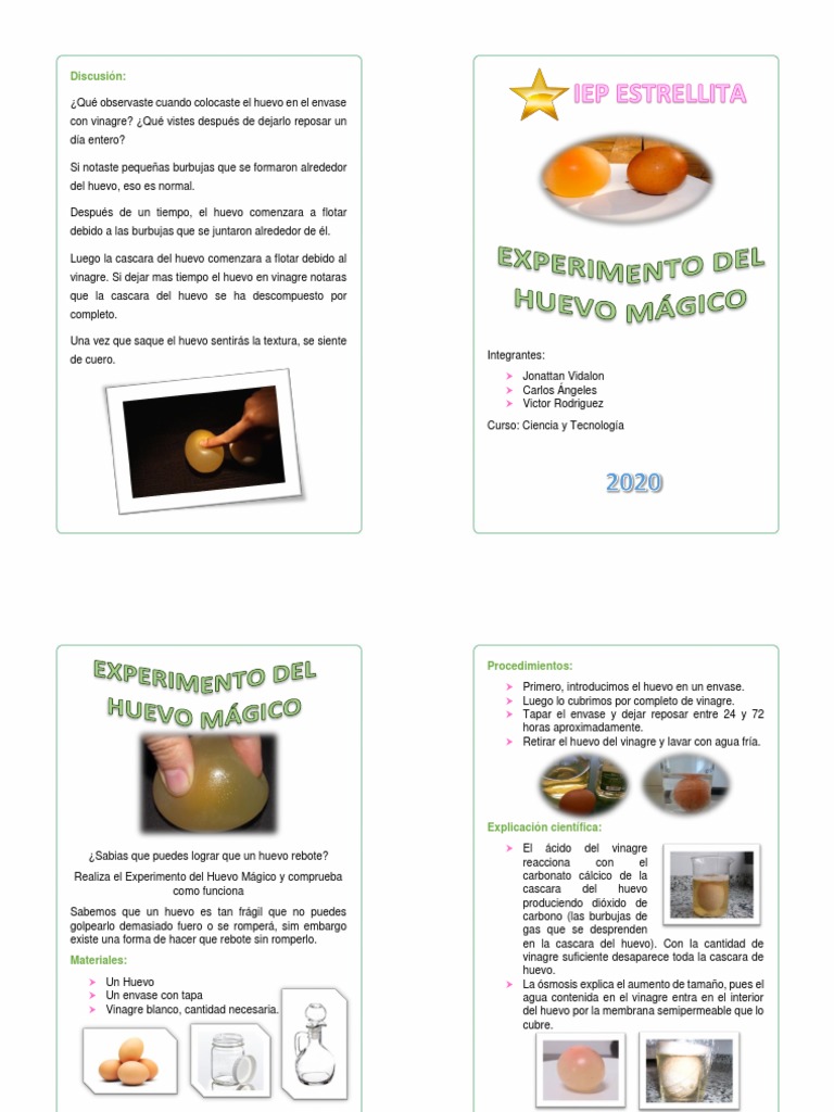 Huevo Mágico: Experimento con Vinagre | PDF | Huevo como alimento | Química