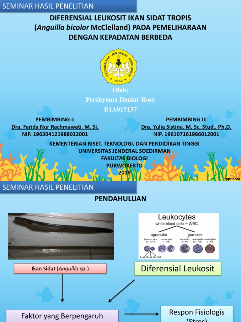 Bismillah PPT Semhas Fix BNGT | PDF