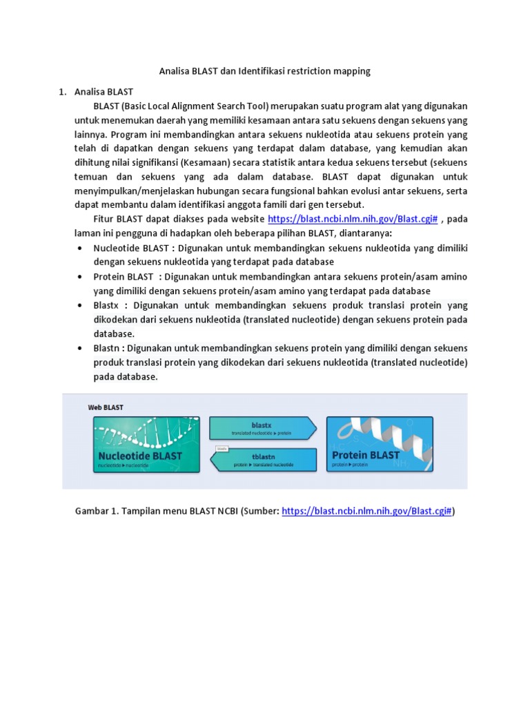 Analisa BLAST Dan Identifikasi Restriction Mapping | PDF