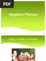 Grade 6 - Classification of Plants | PDF