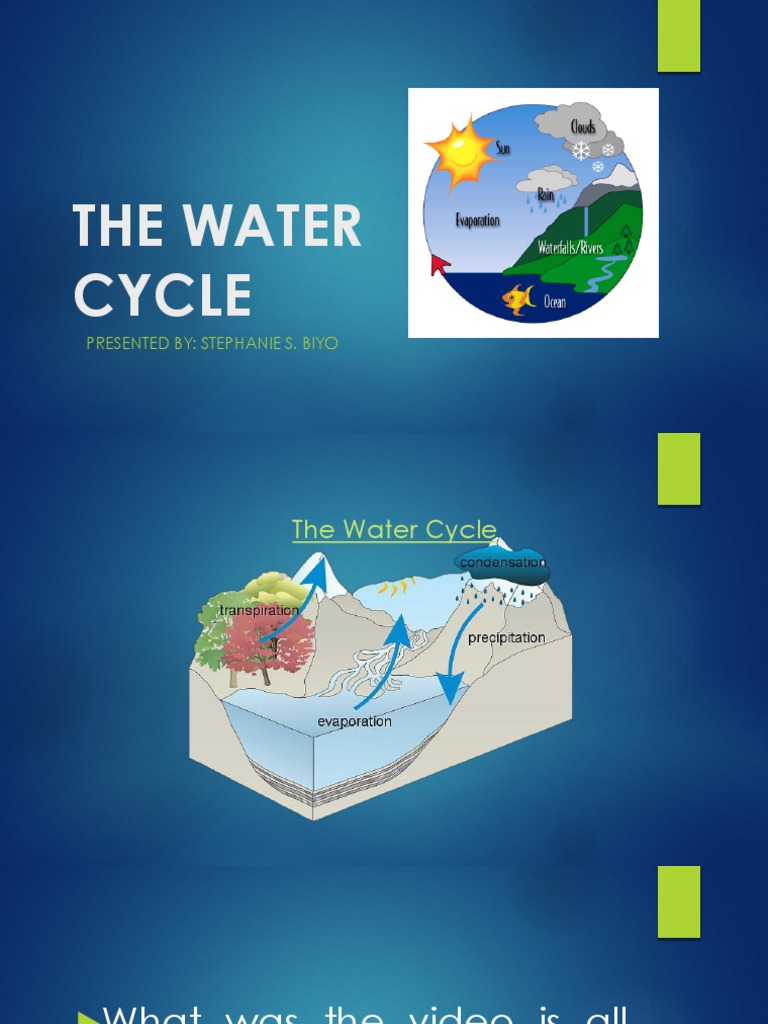 The Water Cycle: Presented By: Stephanie S. Biyo | PDF | Water Cycle ...