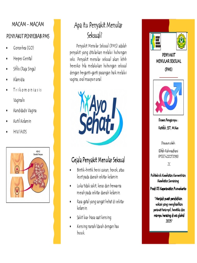 Leaflet PMS PDF | PDF