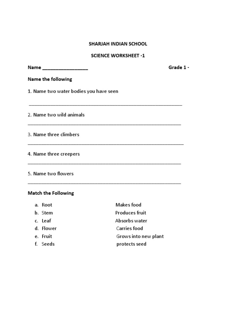 Science Worksheet | PDF | Plants | Botany