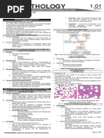 Robbins Basic Pathology 9th Edition QBank | PDF | Coagulation | Thrombosis