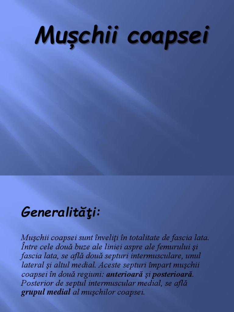 Mușchii Coapsei | PDF