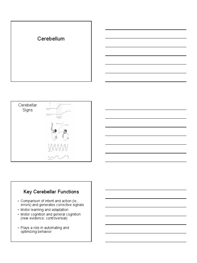 Cerebellum: Key Cerebellar Functions | PDF | Cerebellum | Organ (Anatomy)