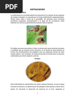 Gusano Soldado Spodoptera Exigua | PDF | Control biológico de plagas ...