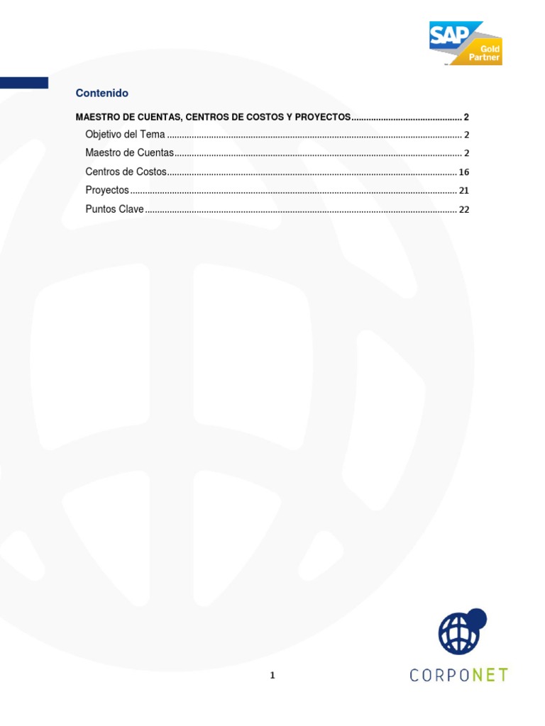 Manual de Sap | PDF | Contabilidad | Business