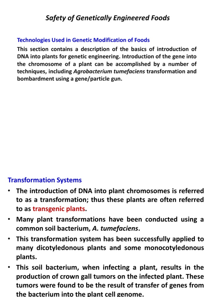Safety of Genetically Engineered Foods | PDF | Plant Breeding | Genetic ...