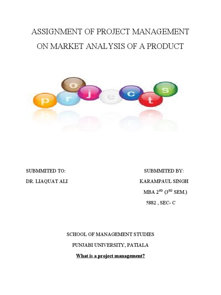 Assignment of Project | PDF | Project Management | Market Analysis