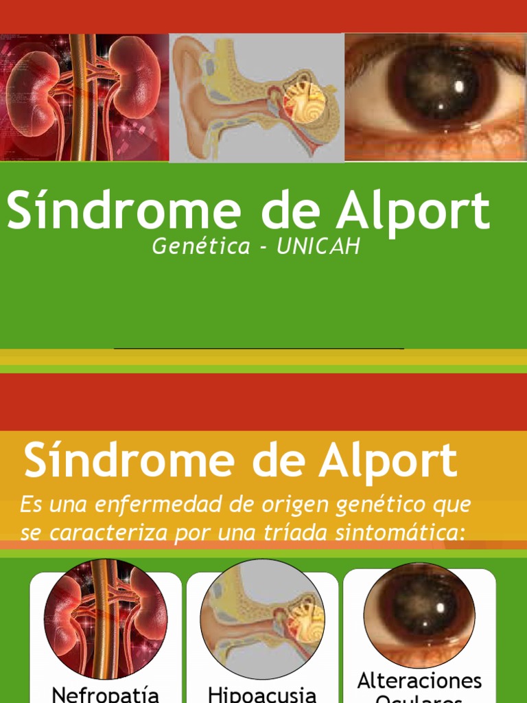 Sindrome Alport | PDF | Epidemiología | Riñón