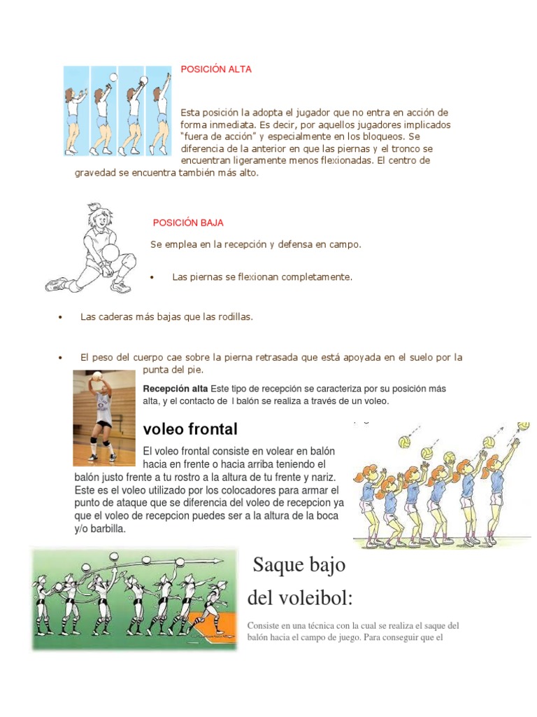 Posición Alta | PDF | Vóleibol | Deportes