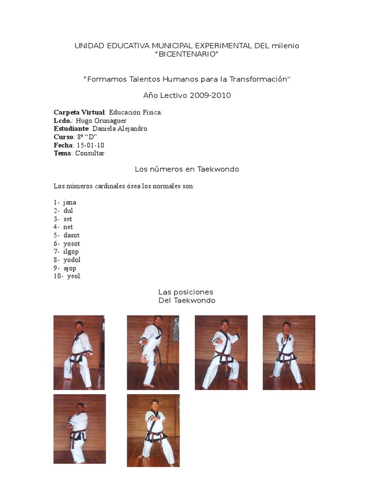 Posiciones Del Taekwondo | PDF