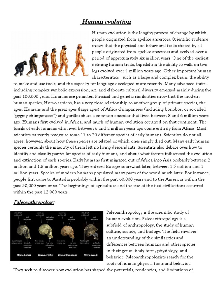Human Evolution: Paleoanthropology | PDF | Tutankhamun | Homo