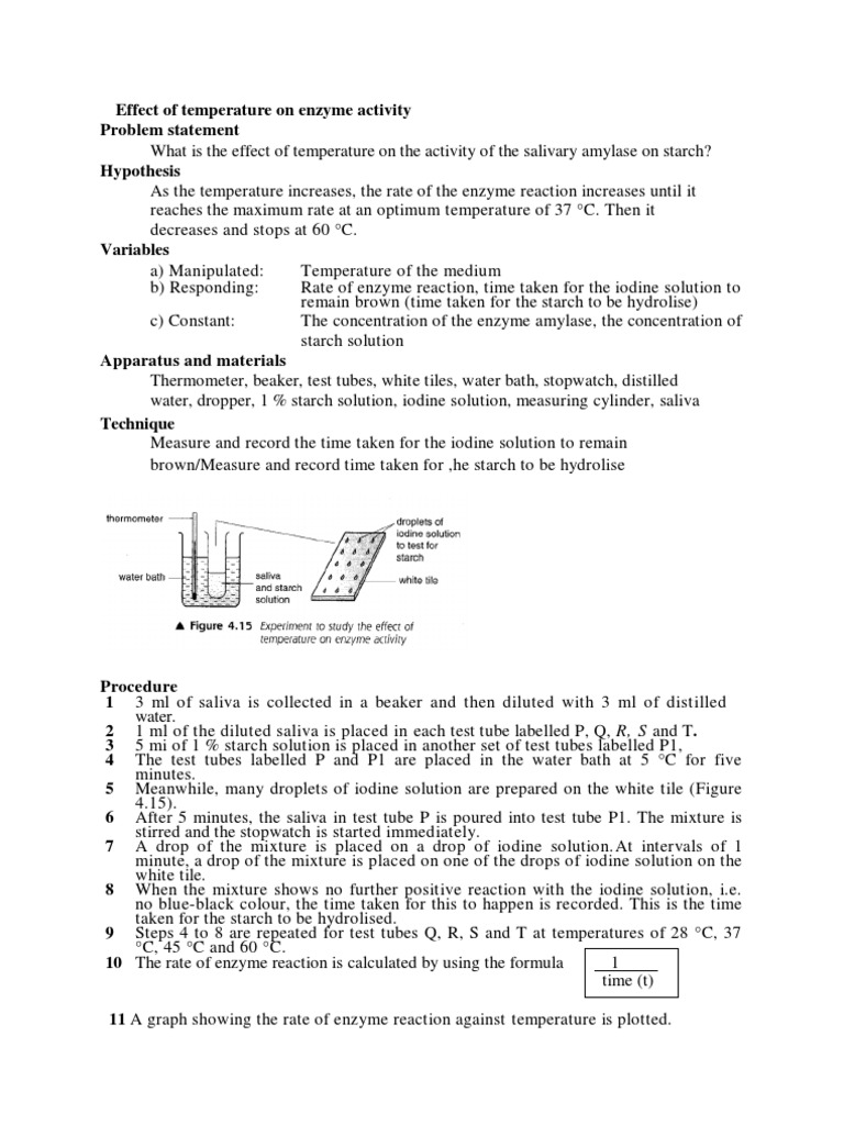 Effect of Temperature On Enzyme Activity | PDF | Enzyme | Saliva
