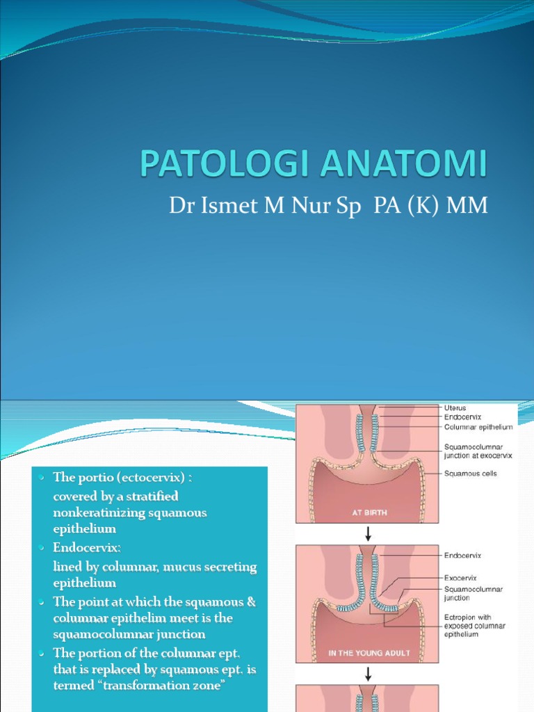 Introduction Lab PA RPS 17-18 | PDF | Epithelium | Anatomy