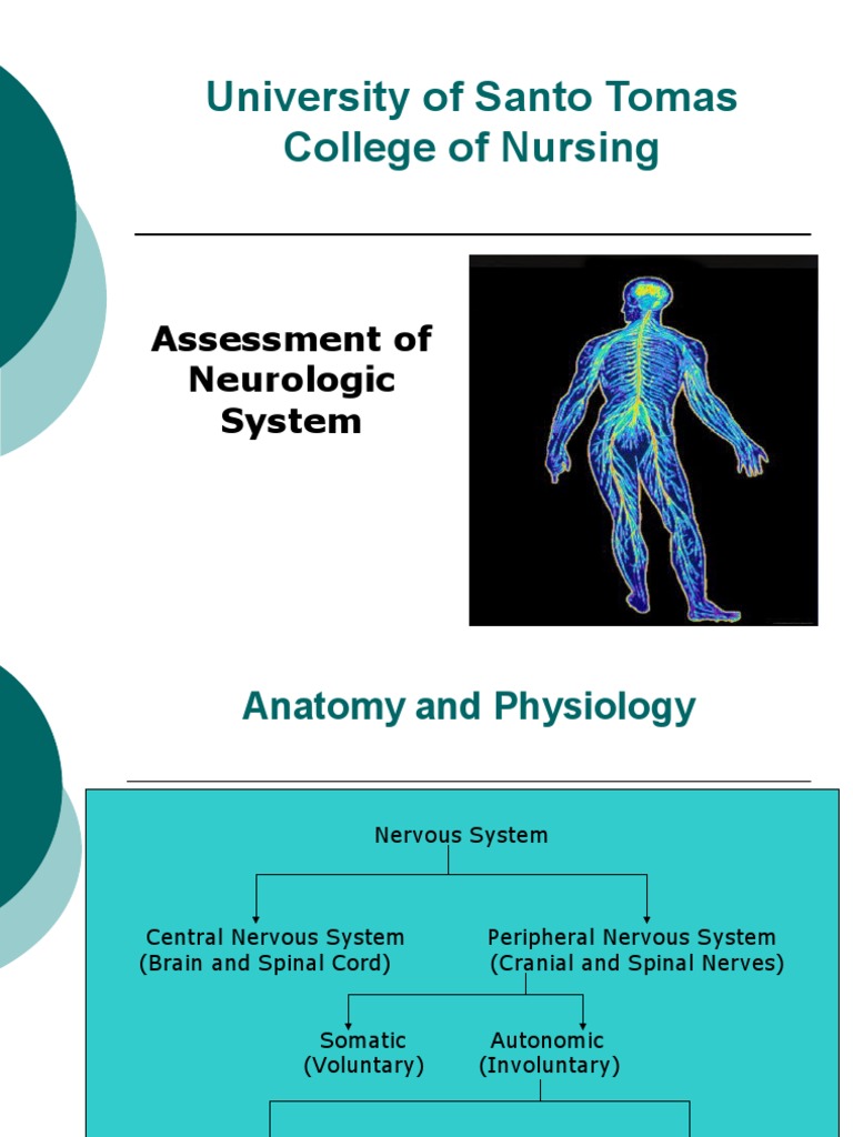 Assessment of Neurologic System | PDF | Nervous System | Cerebrum