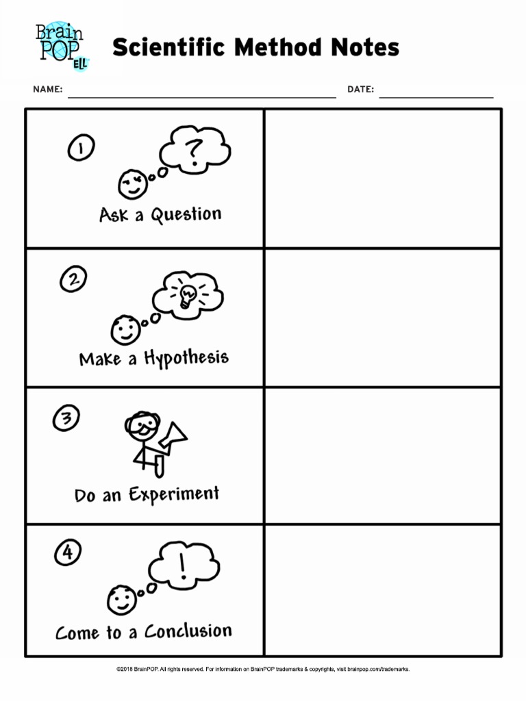 Scientific Method Activity | PDF