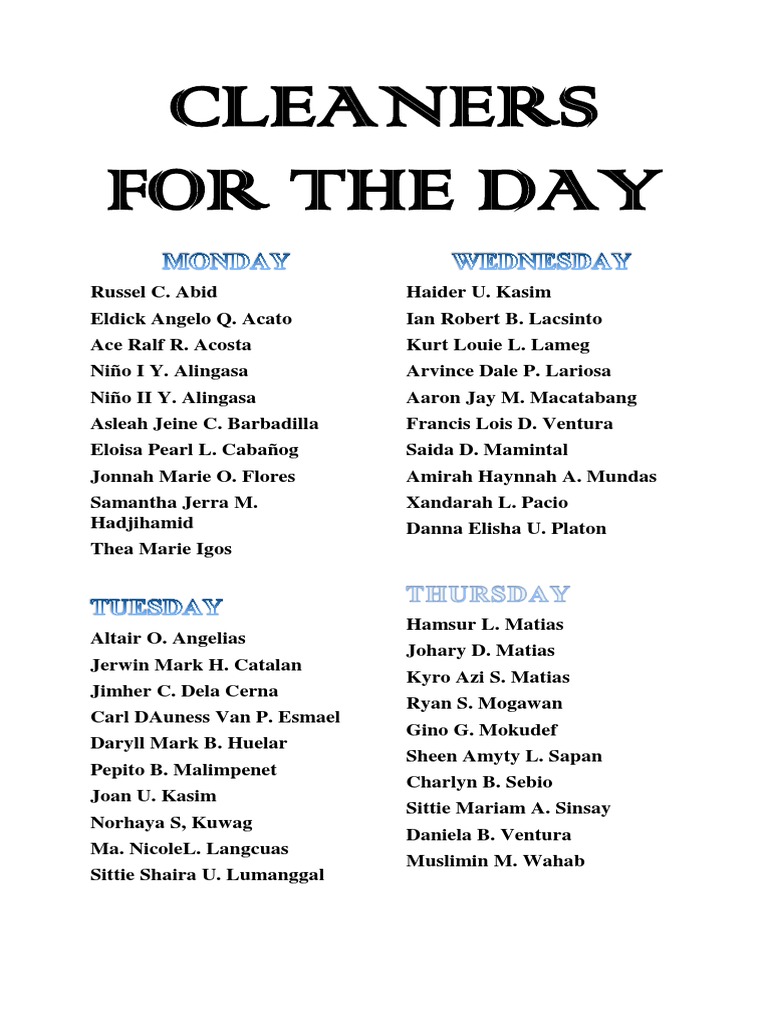 Cleaners For The Day | PDF