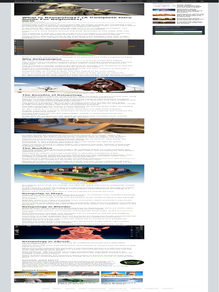 What Is Retopology? A Complete Intro Guide For Beginners | PDF | 3 D ...