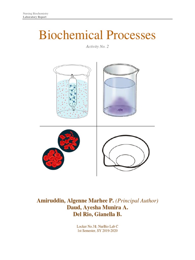 Biochemical Processes in Nursing Lab | PDF | Osmosis | Cell Membrane