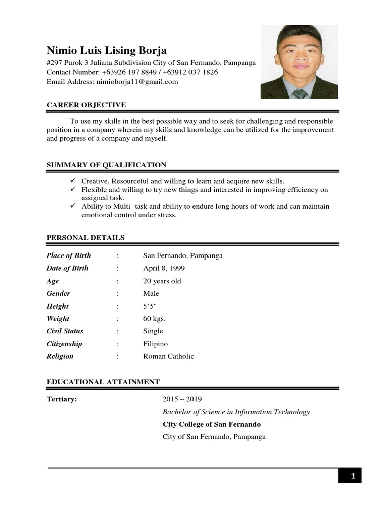 Latest Borja Nimio Luis Resume | PDF | Computing And Information Technology