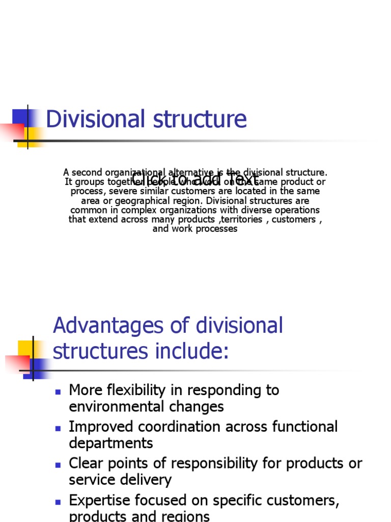 Divisional Structure | PDF | Customer | Retail