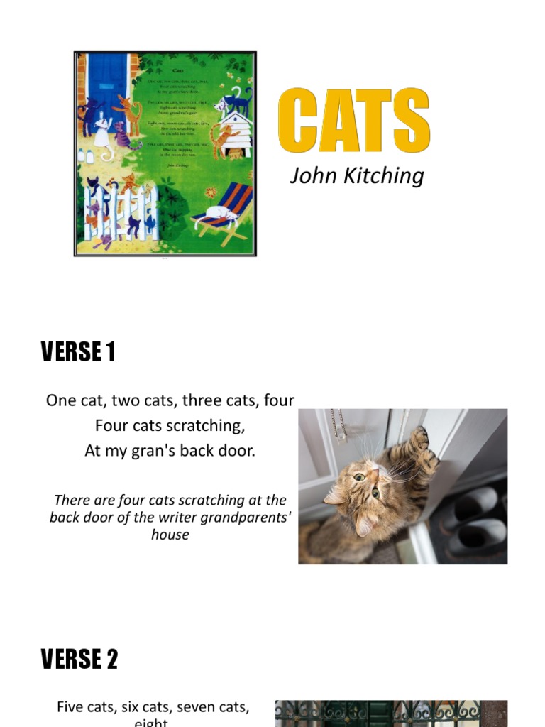 CATS by John Kitching | PDF