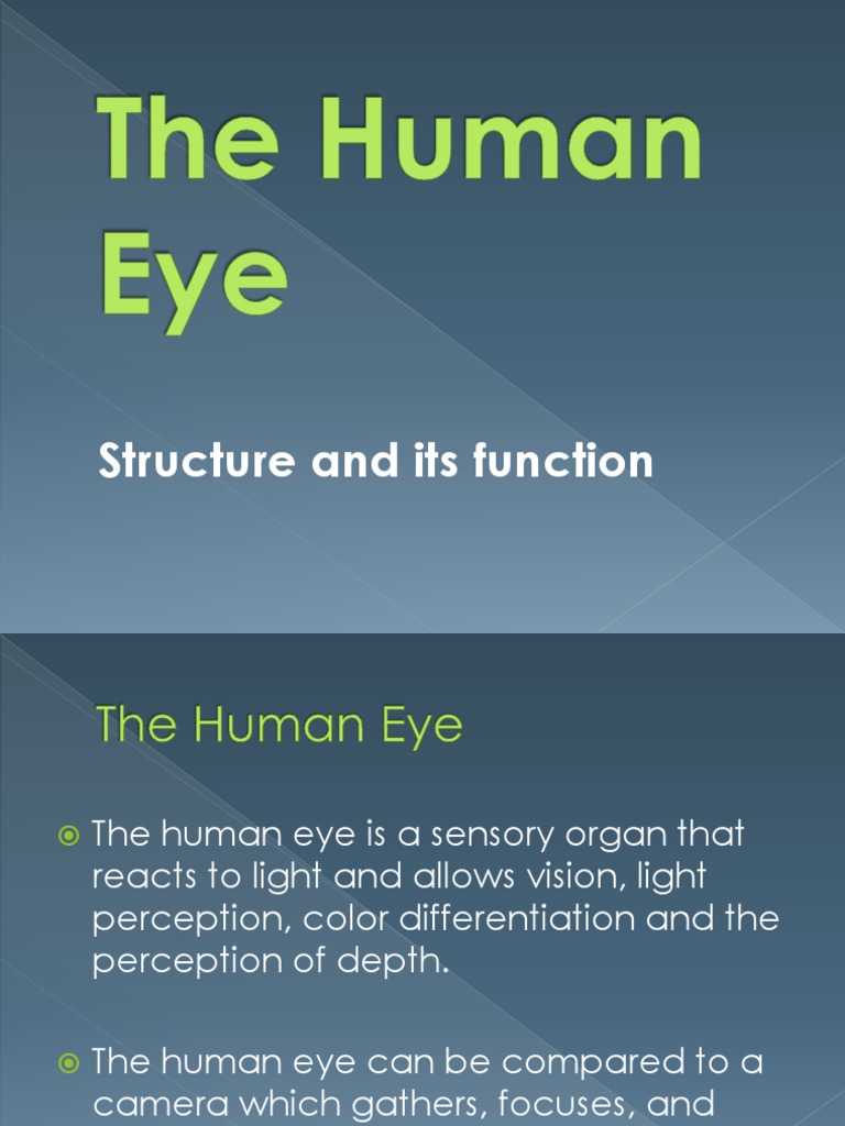 Human Eye | PDF | Human Eye | Lens (Optics)