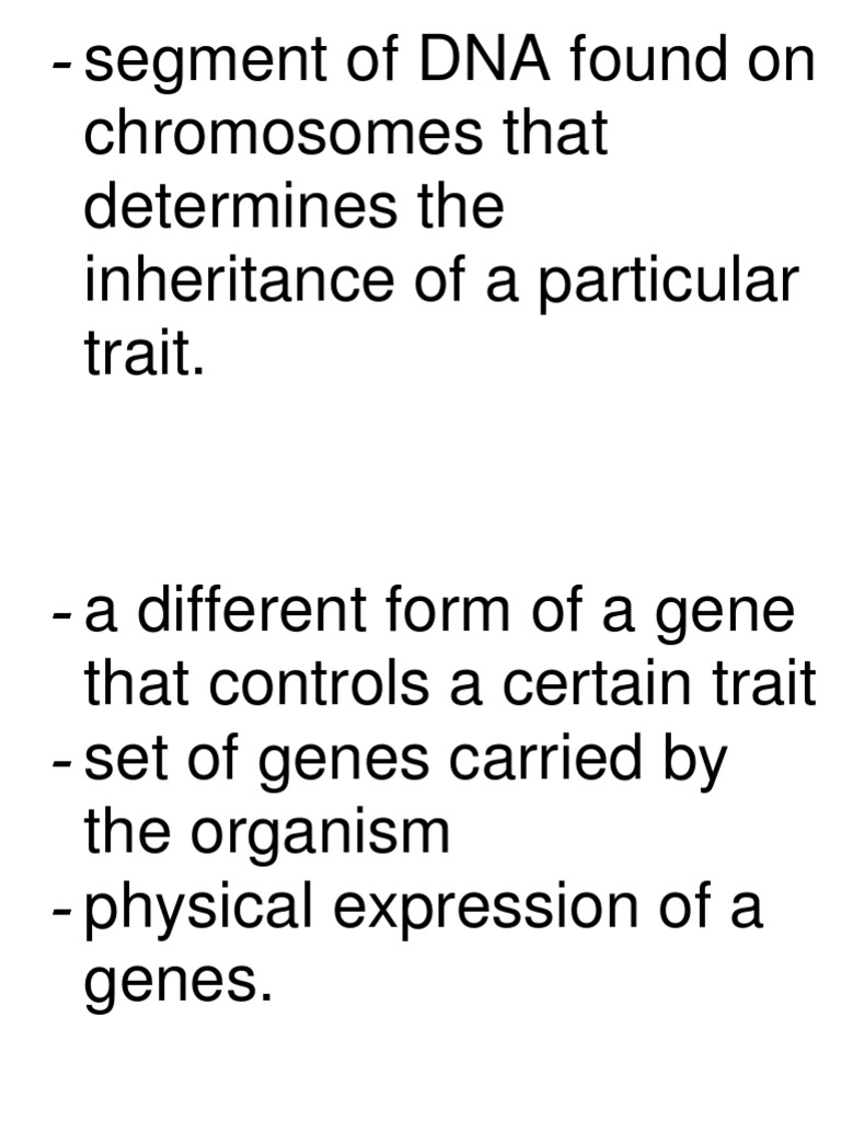 Genetics Terms Explained | PDF | Dominance (Genetics) | Allele