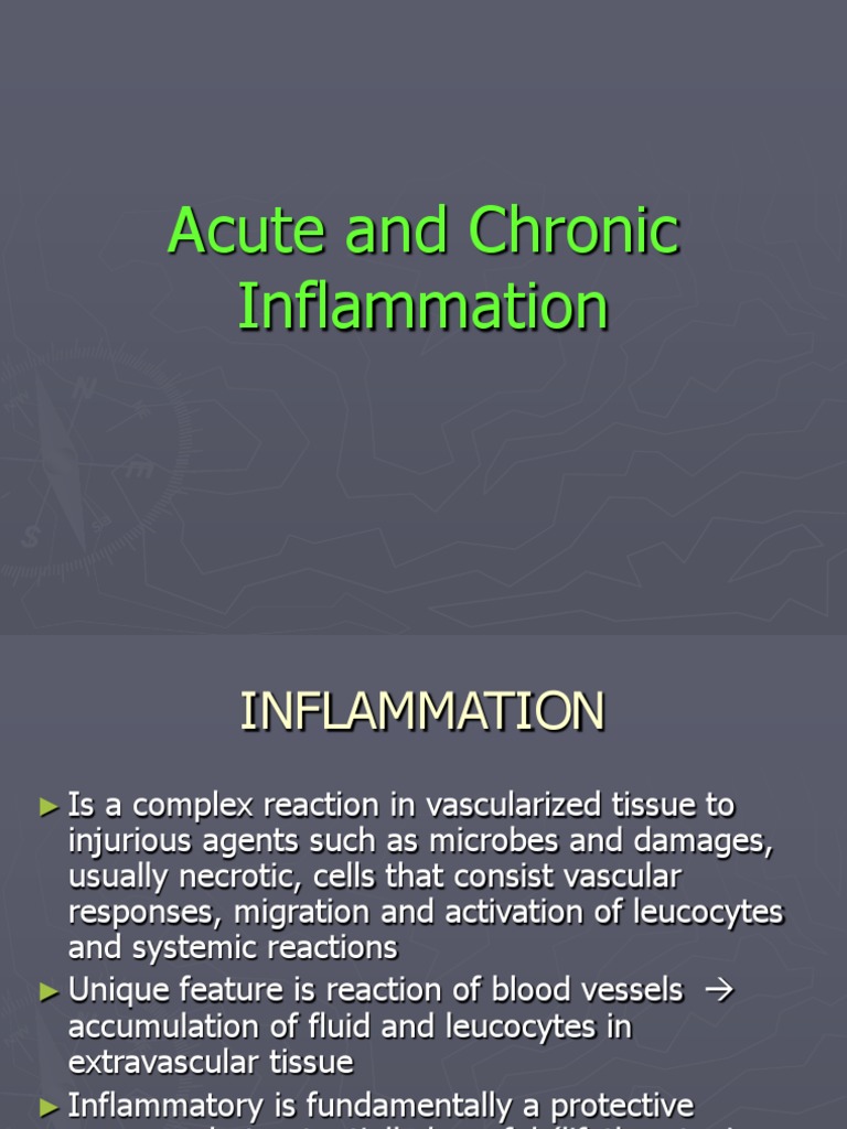 Inflamasi Akut Dan Kronik | PDF | Inflammation | Complement System