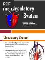 Blood and Circulation, iGCSE Biology | PDF | Circulatory System ...