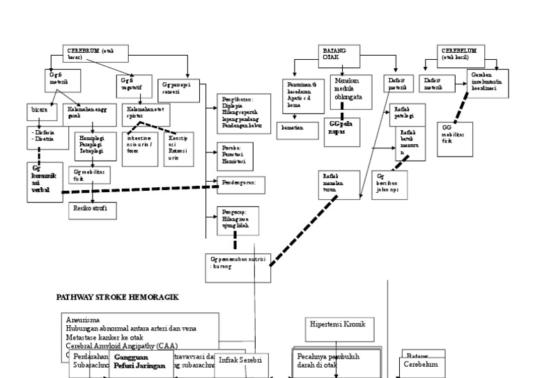 Pathway Stroke Hemoragik | PDF