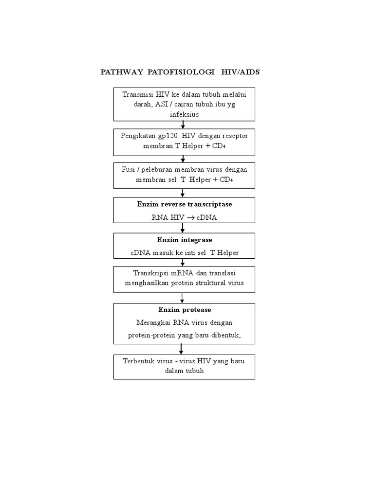 Pathway Patofisiologi Hiv Aids | PDF