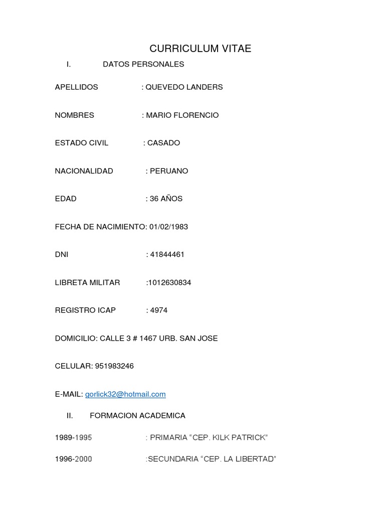 Curriculum Vitae Mario | PDF