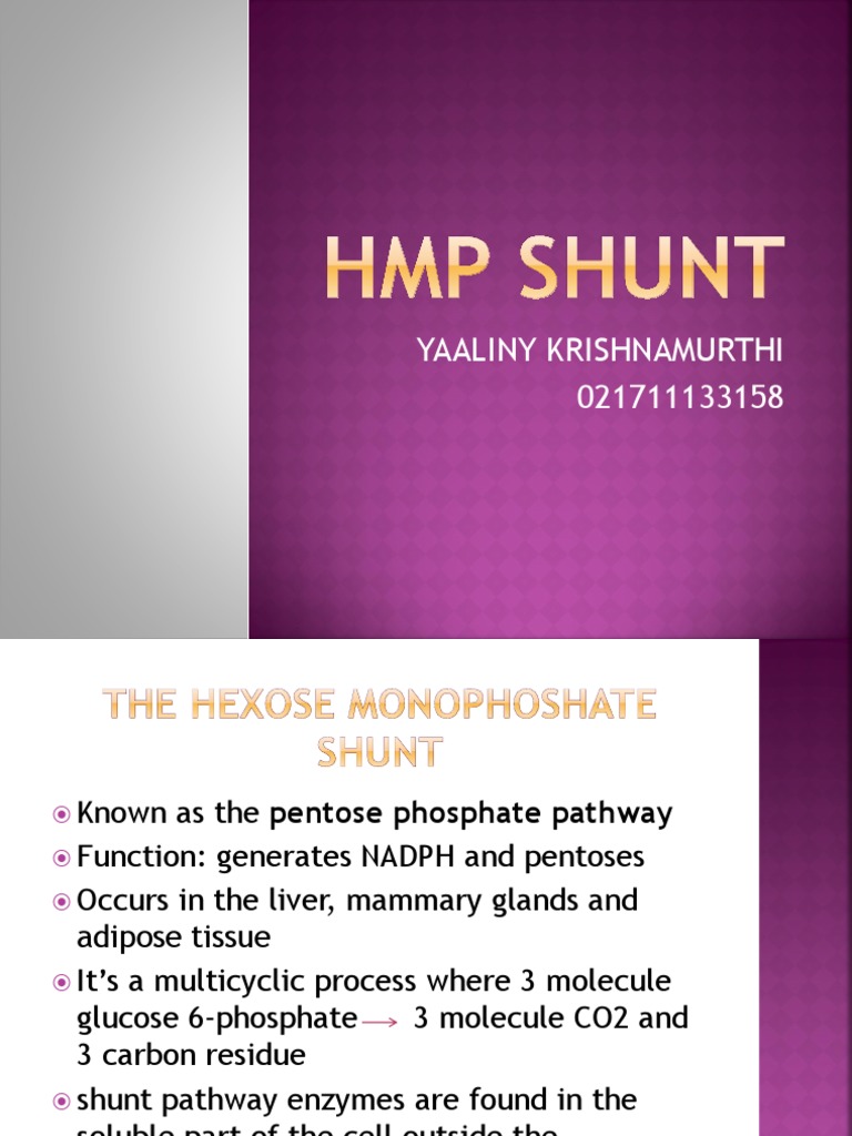 HMP Shunt | PDF | Pyruvic Acid | Enzyme