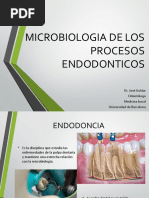 Apexogénesis y Apexificación | PDF | Boca | Odontología
